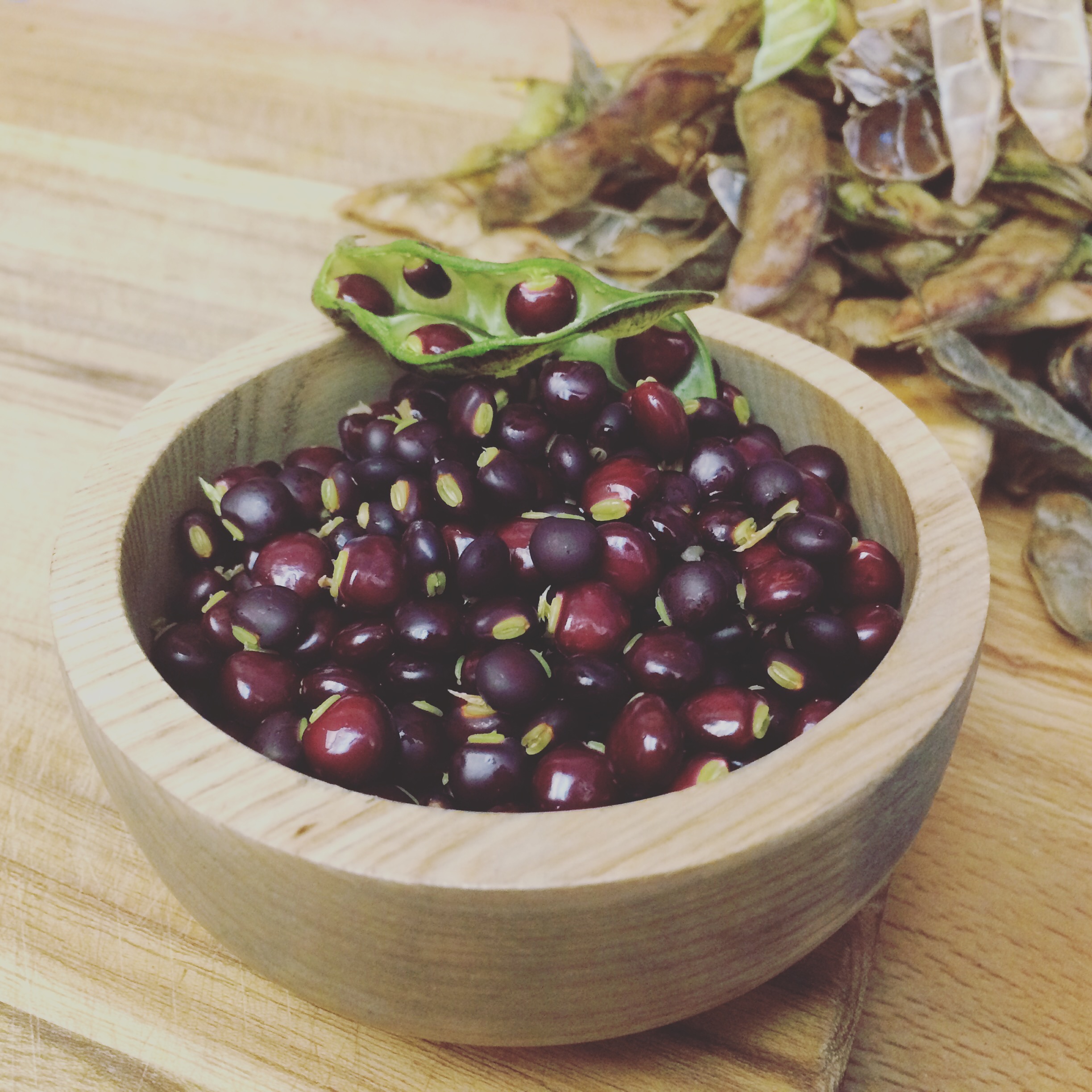 Learn, make, repeat... What making means to me | Mandy Bee