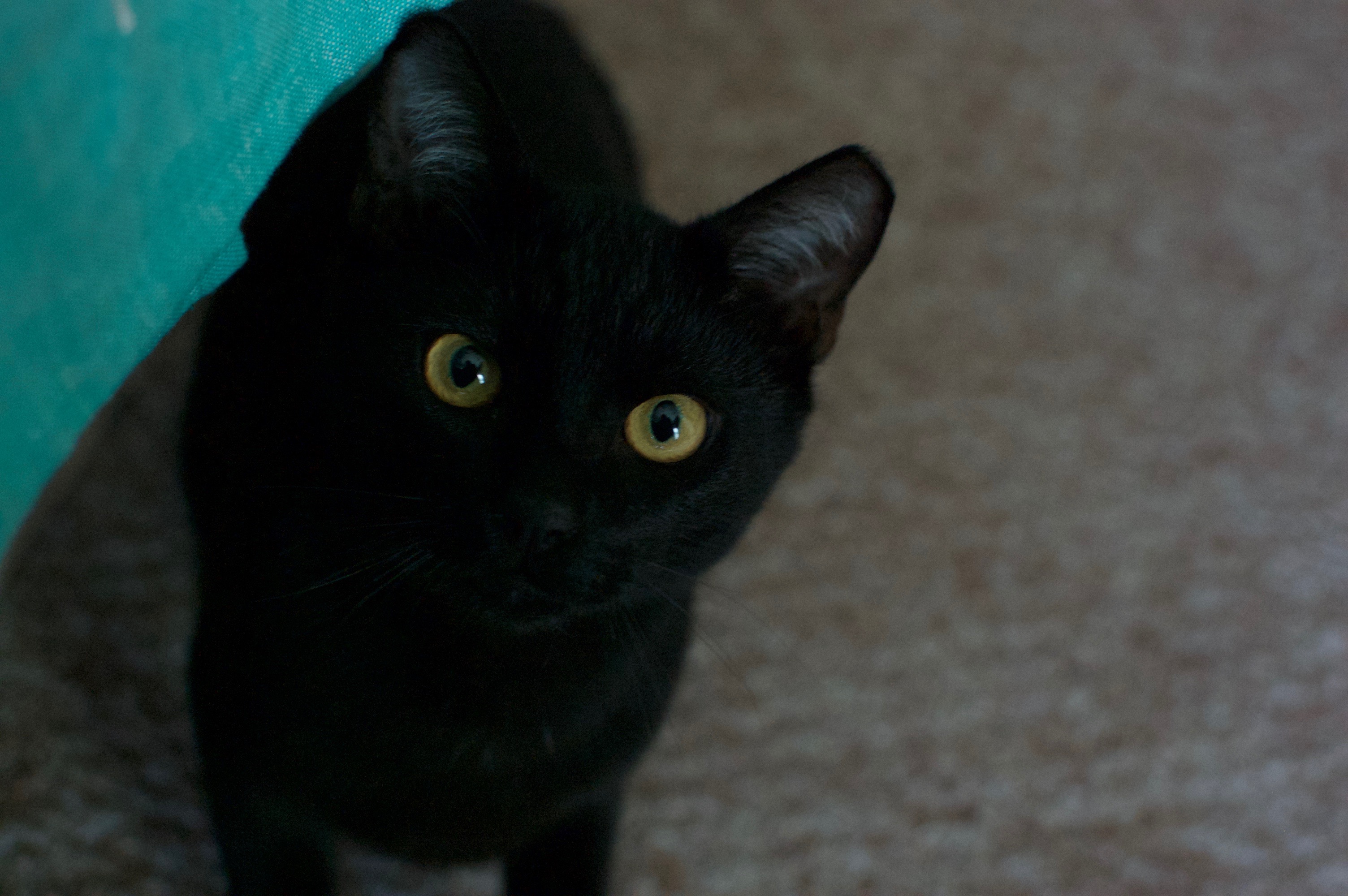 Making time for making | Mandy Bee